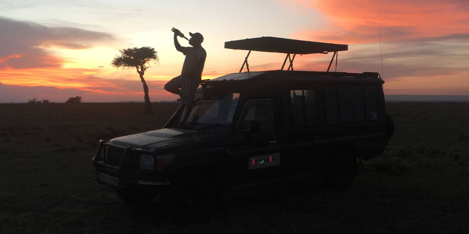 Iconic Game Drives | Best Tour & Travel Agency